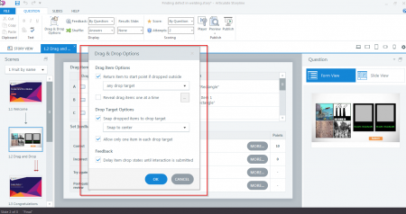 Custom Drag and Drop Interactivity using Variables in Storyline 360