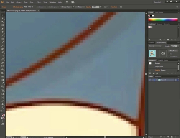 Adobe Illustrator | Convert Raster Images into Vector Images